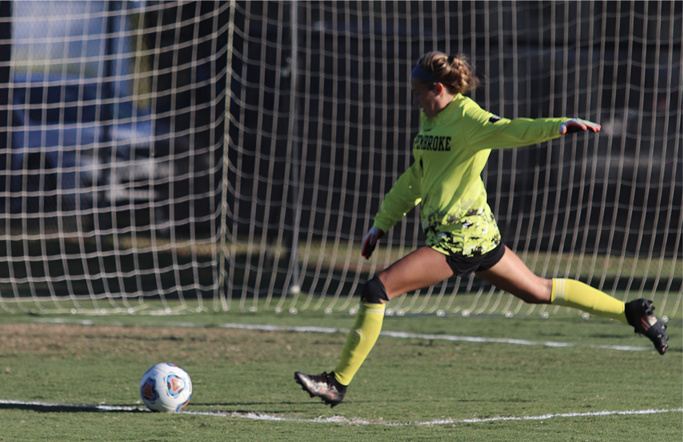 PREROKE | The Pine Needle